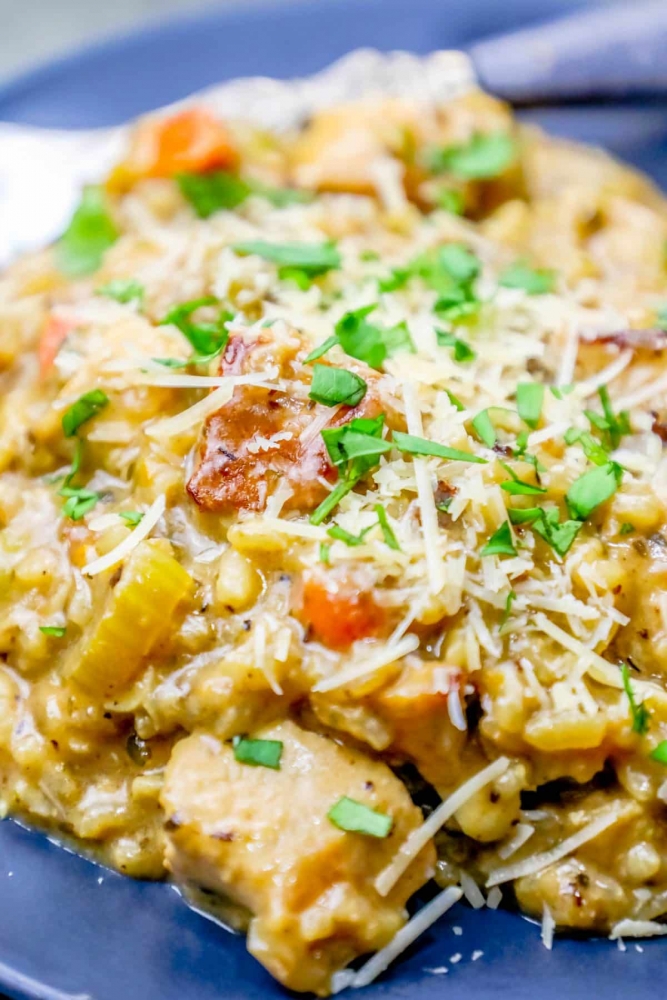 Easy One Pan Chicken Risotto Dinner Recipe - Under 30 Minutes!