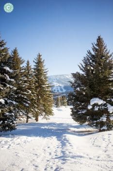 Avon and Beaver Creek Colorado