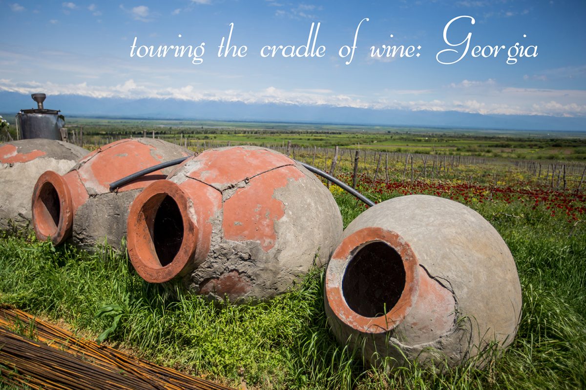 Georgian Supra Traditional Wine Feast