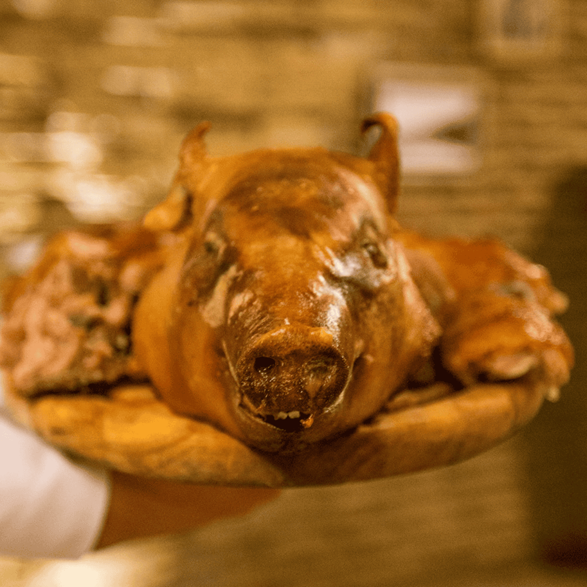 Georgian Supra Traditional Wine Feast