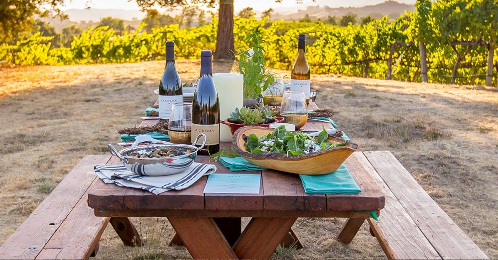 fall harvest table scape with succulent centerpieces
