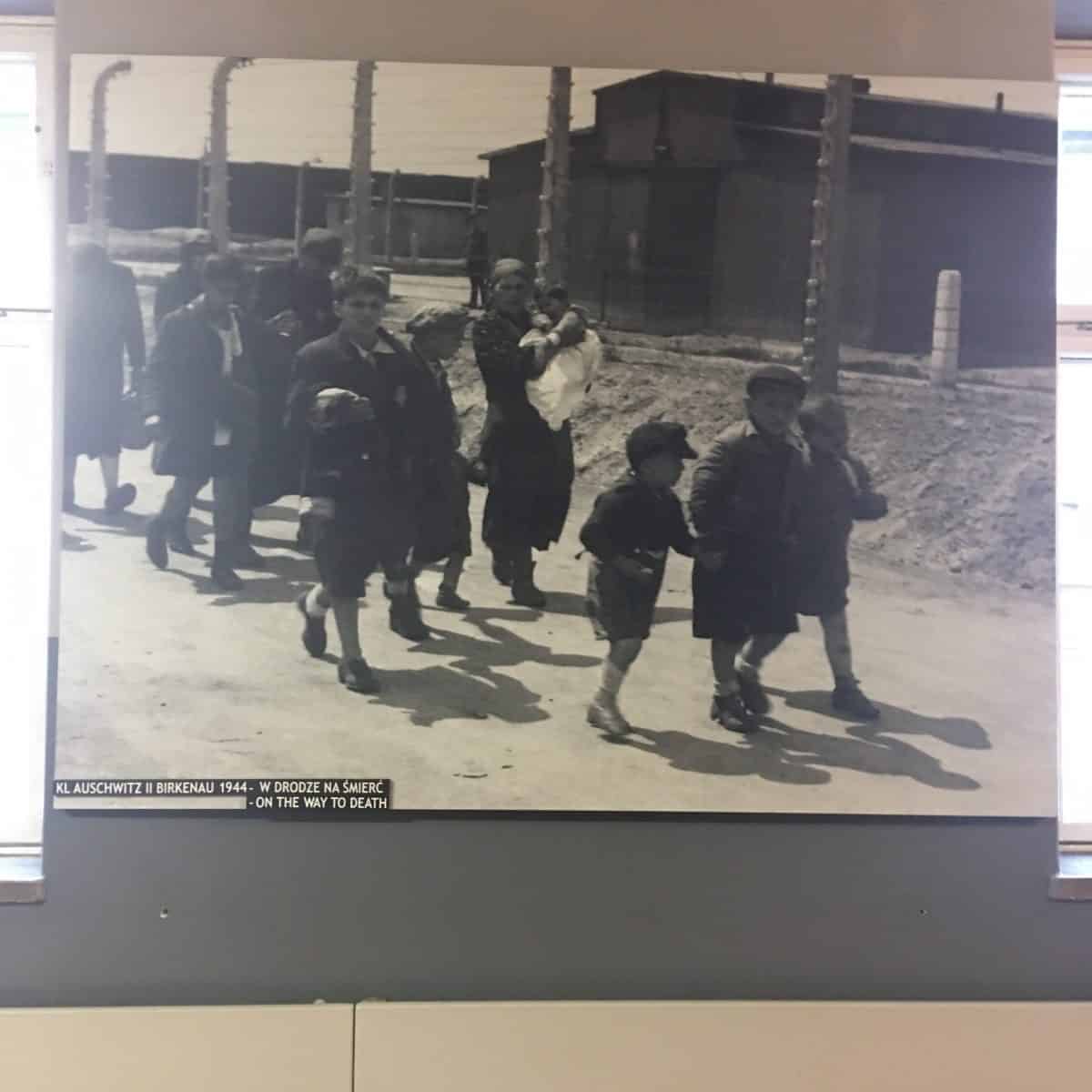 Auschwitz - Birkenau - Sweet Cs Designs