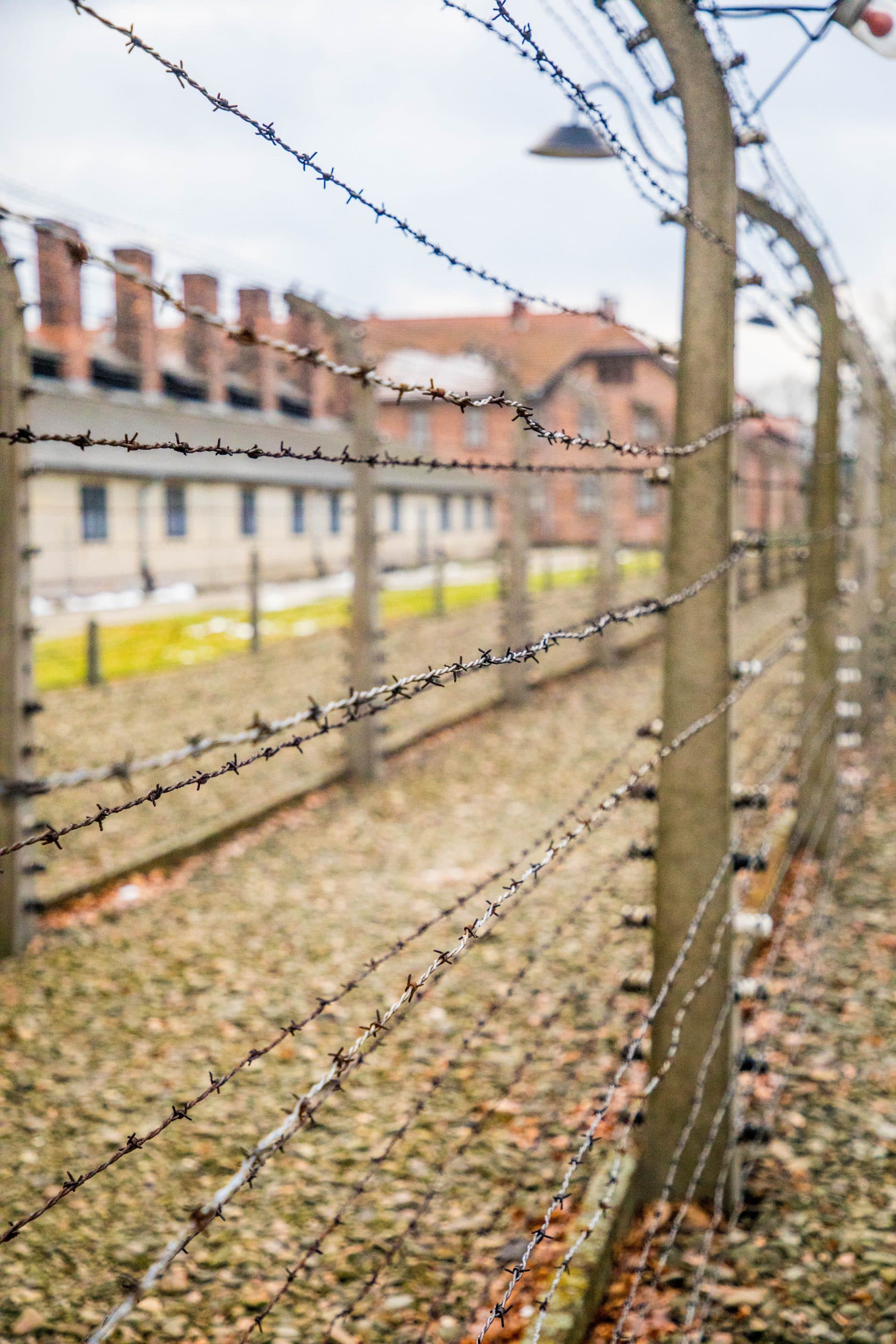 Auschwitz - Birkenau - Sweet Cs Designs