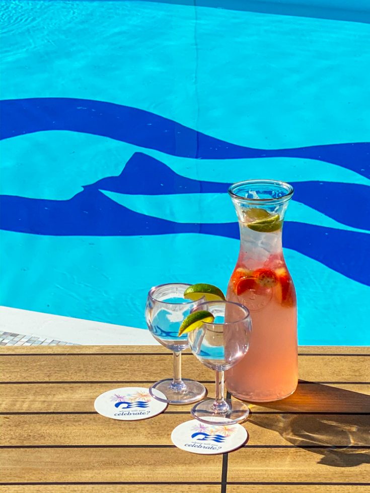 The Ultimate Sky Princess Bar Crawl - Sweet Cs Designs