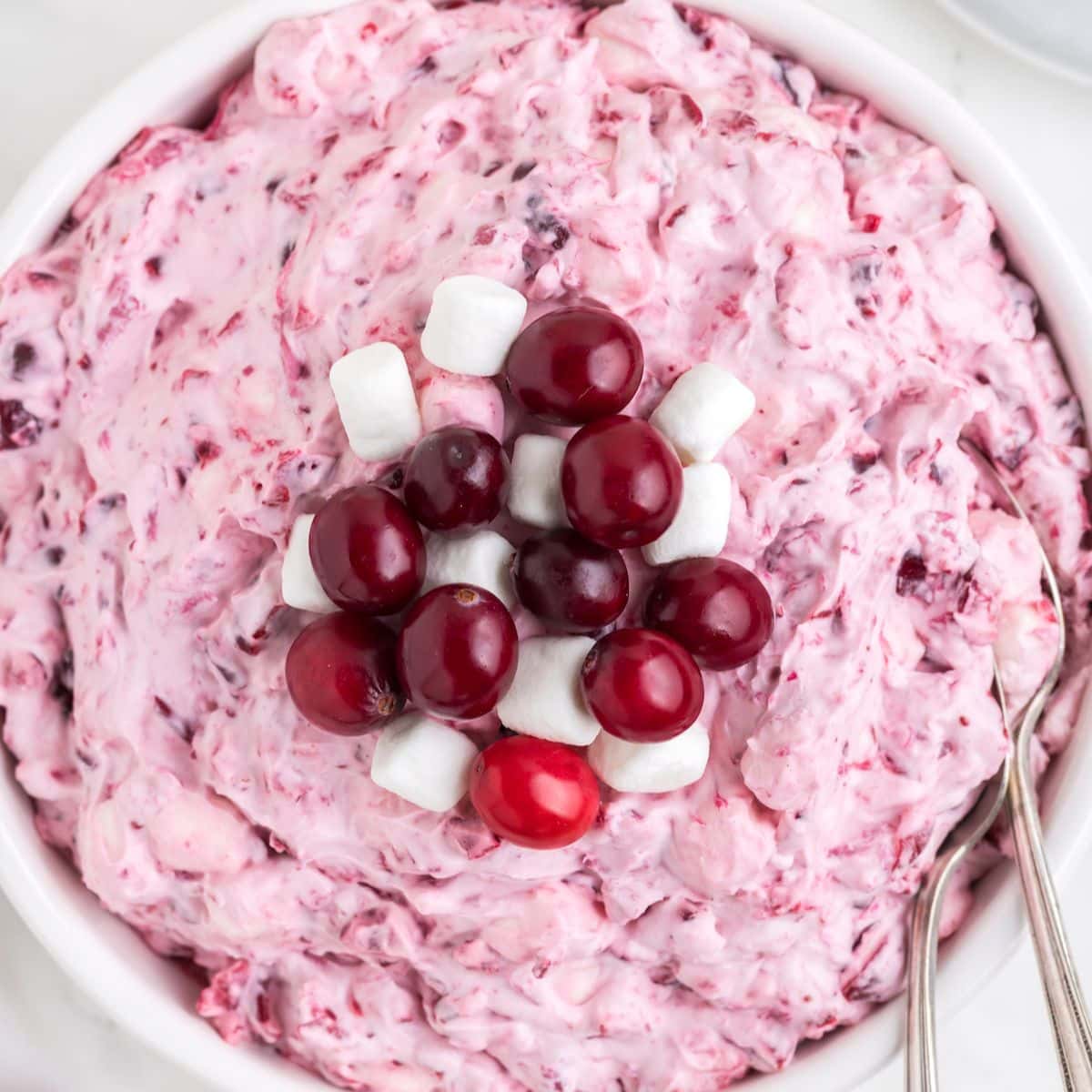 Favorite Cranberry Recipes - Sweet Cs Designs