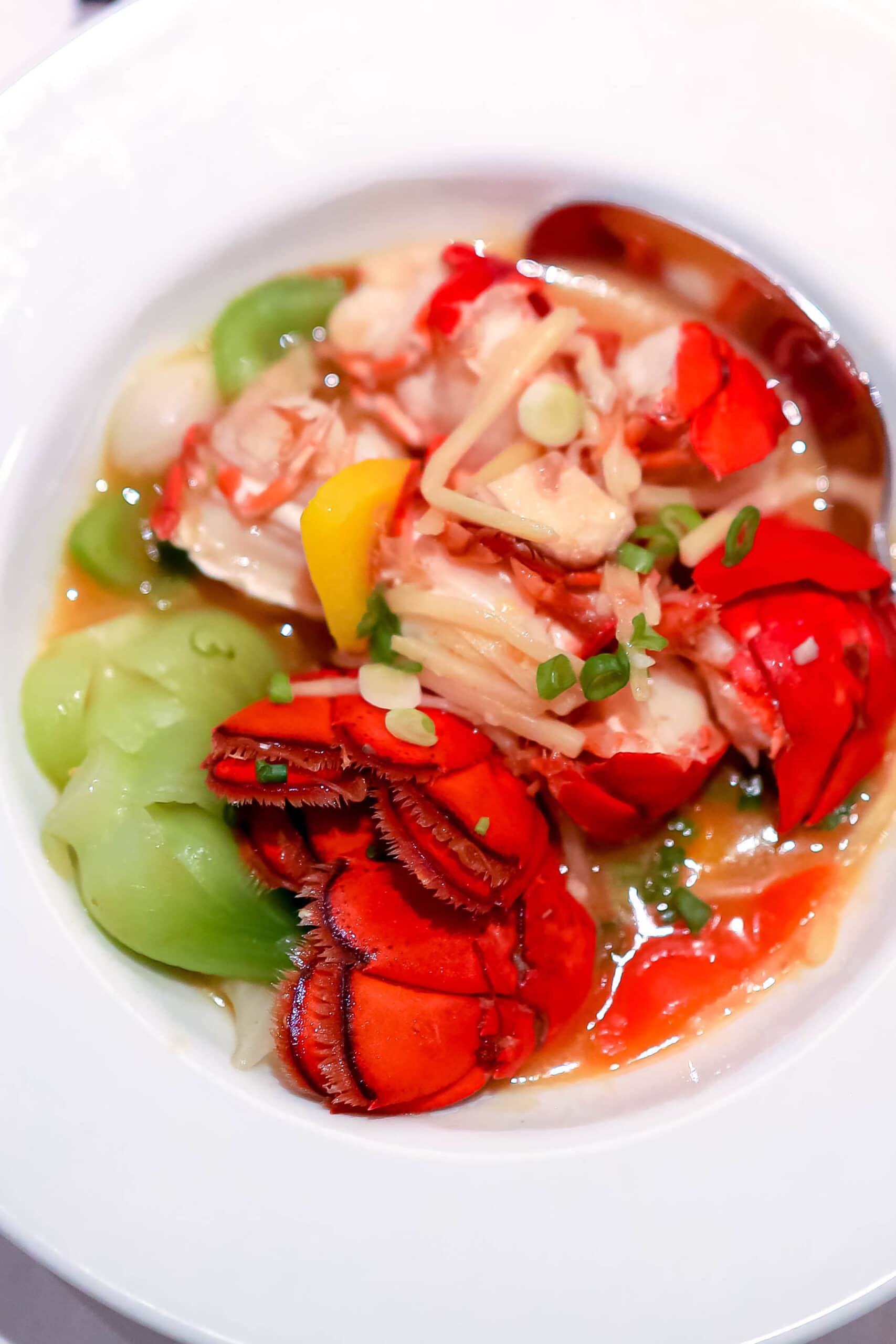 Your Ultimate Dining Guide for the Majestic Princess - Ajpal