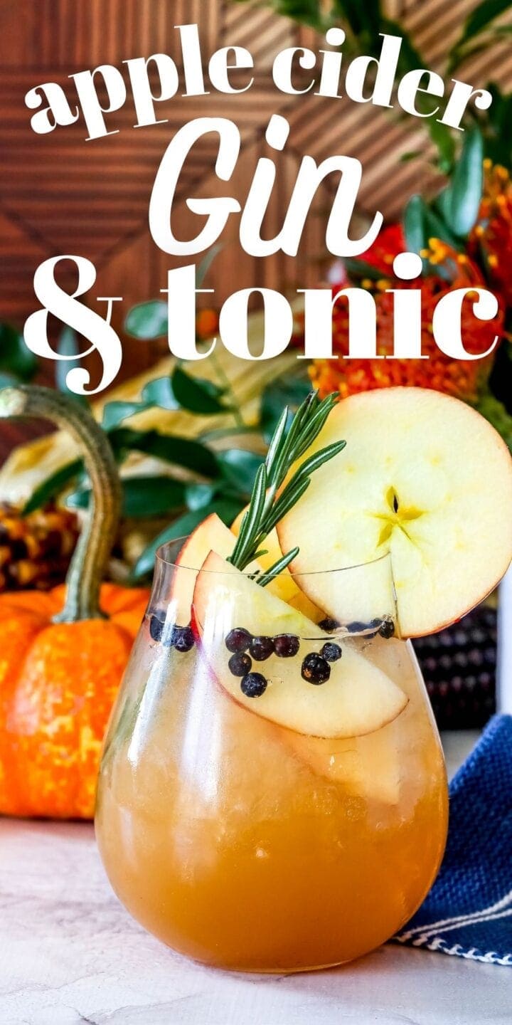 Apple Cider Gin and Tonic - Sweet Cs Designs