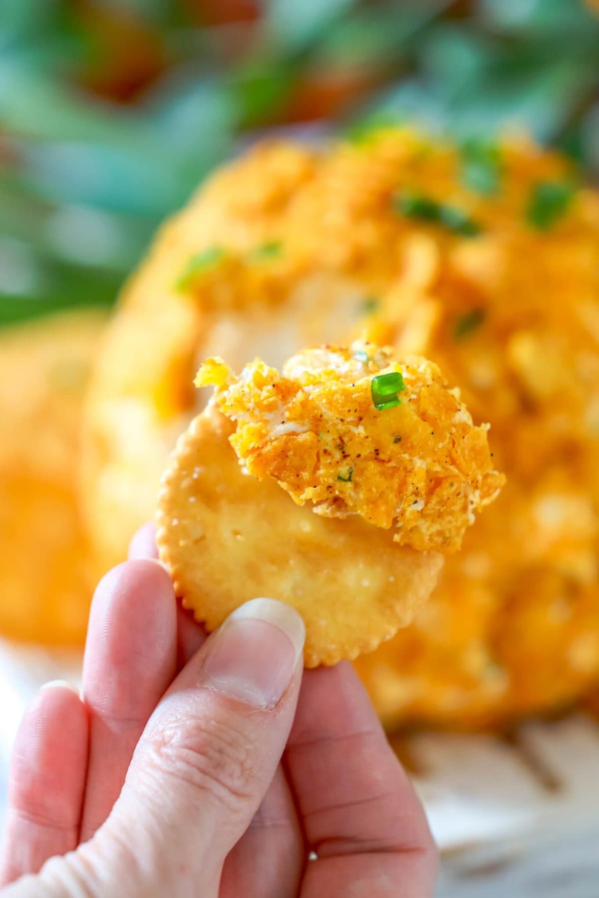 Chili Cheese Frito Cheese Ball - Sweet Cs Designs