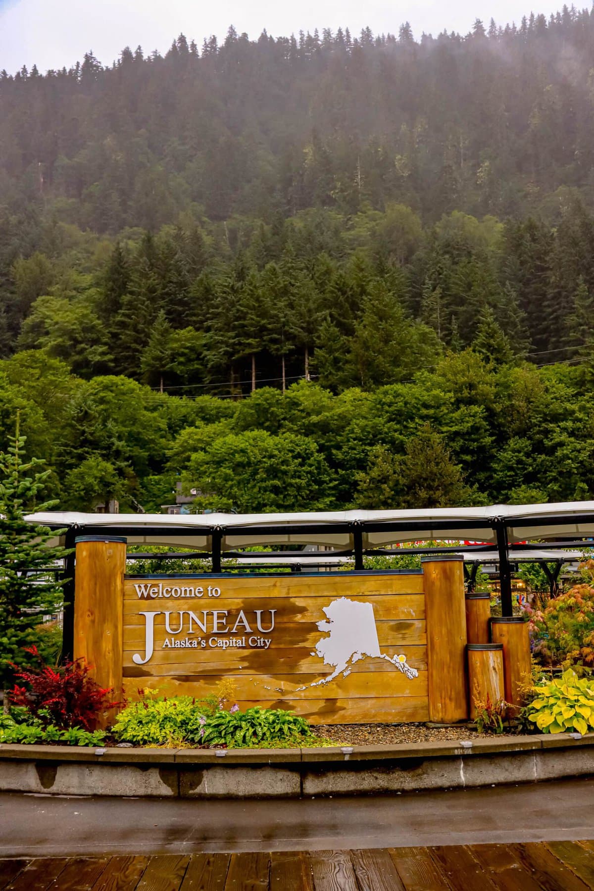 Juneau Alaska Port Guide - Sweet Cs Designs
