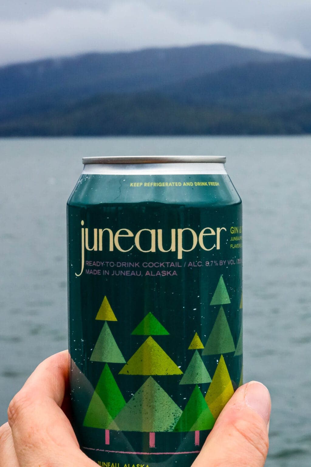 Juneau Alaska Port Guide - Sweet Cs Designs