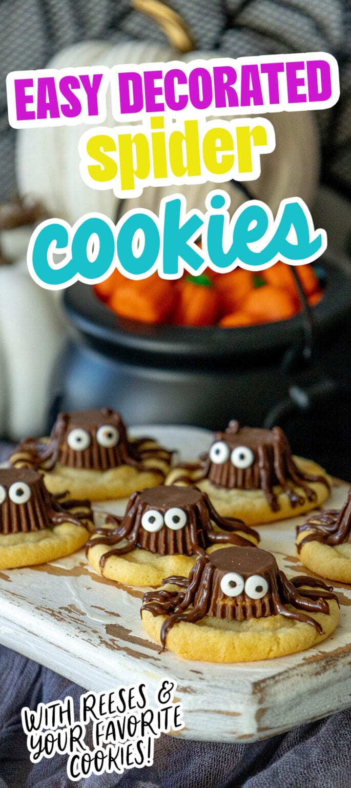 Easy Spider Decorated Cookies - Sweet Cs Designs