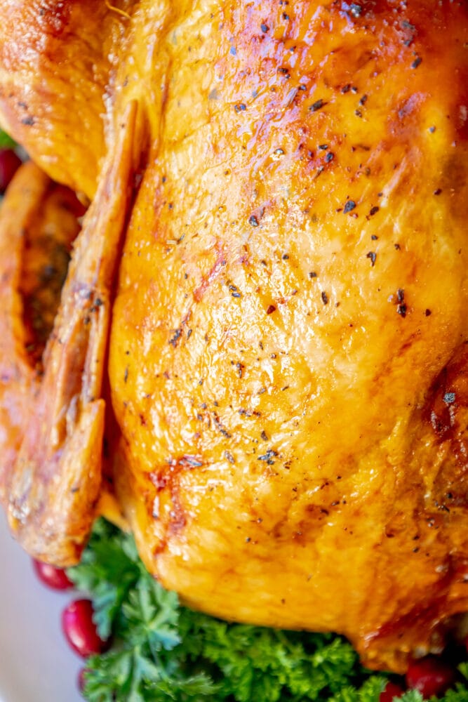 Dry Brined Turkey - Sweet Cs Designs