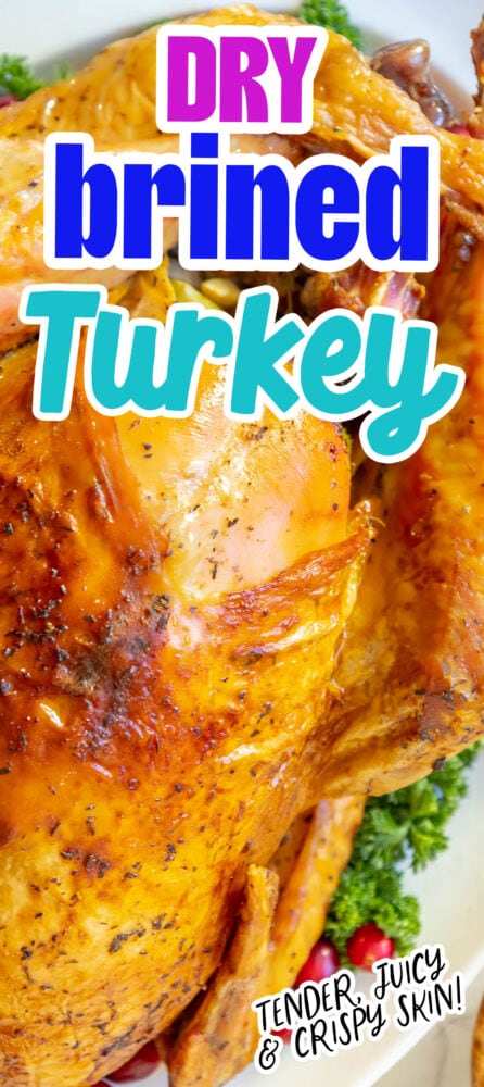 Dry Brined Turkey - Sweet Cs Designs