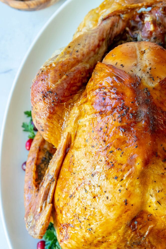 Brown Bag Herb Roasted Turkey