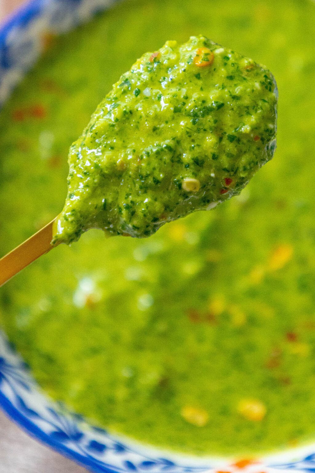 Zhoug Recipe (Skhug Sauce) - Sweet Cs Designs