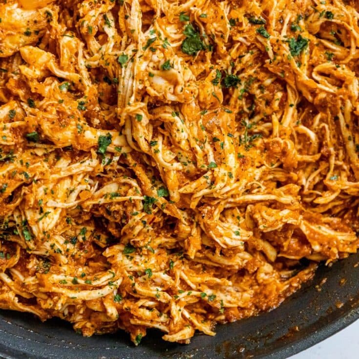 Tinga Chicken Recipe - Sweet Cs Designs