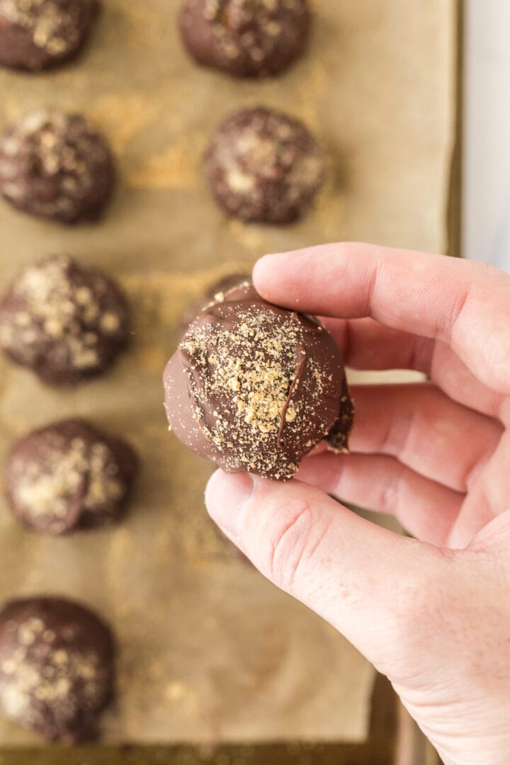 S'mores Truffles - Sweet Cs Designs