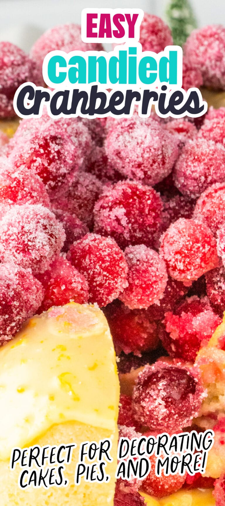 Candied Cranberries - Sweet Cs Designs
