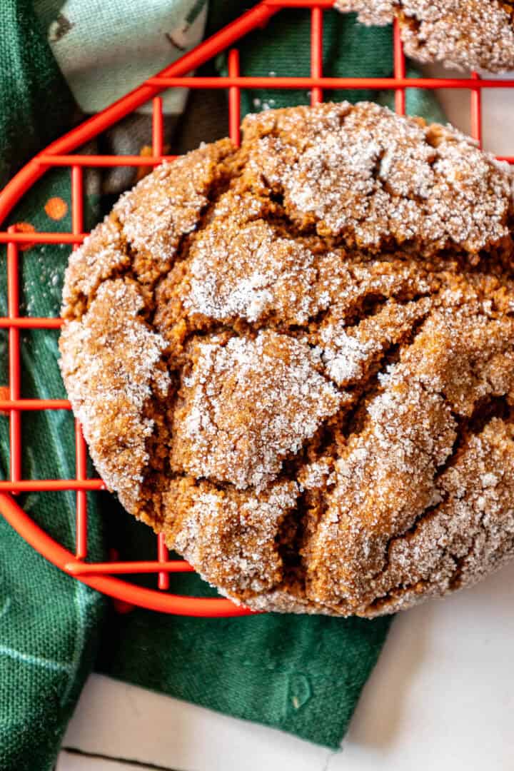 Chewy Molasses Cookies