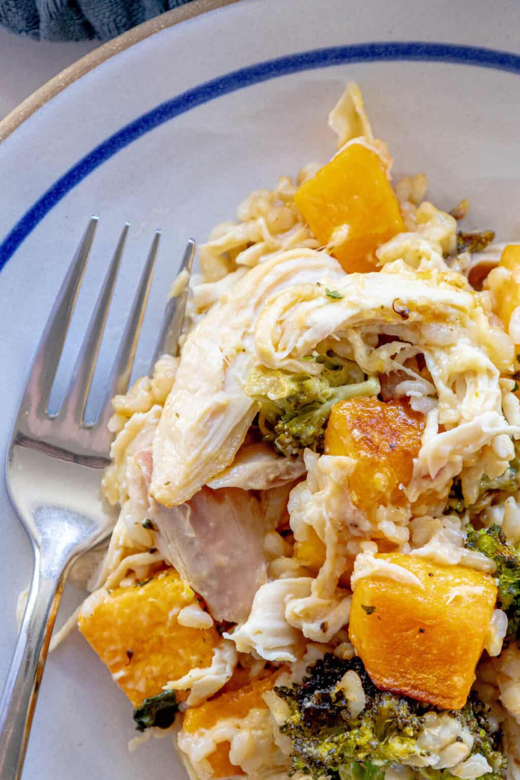 Butternut Squash Chicken and Rice Casserole - Sweet Cs Designs