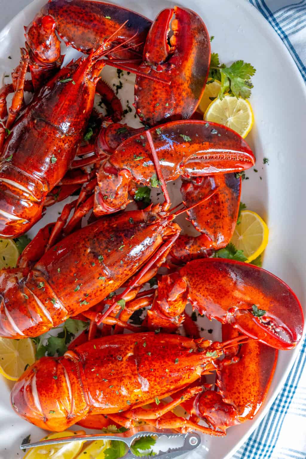 How To Cook Lobster - Sweet Cs Designs