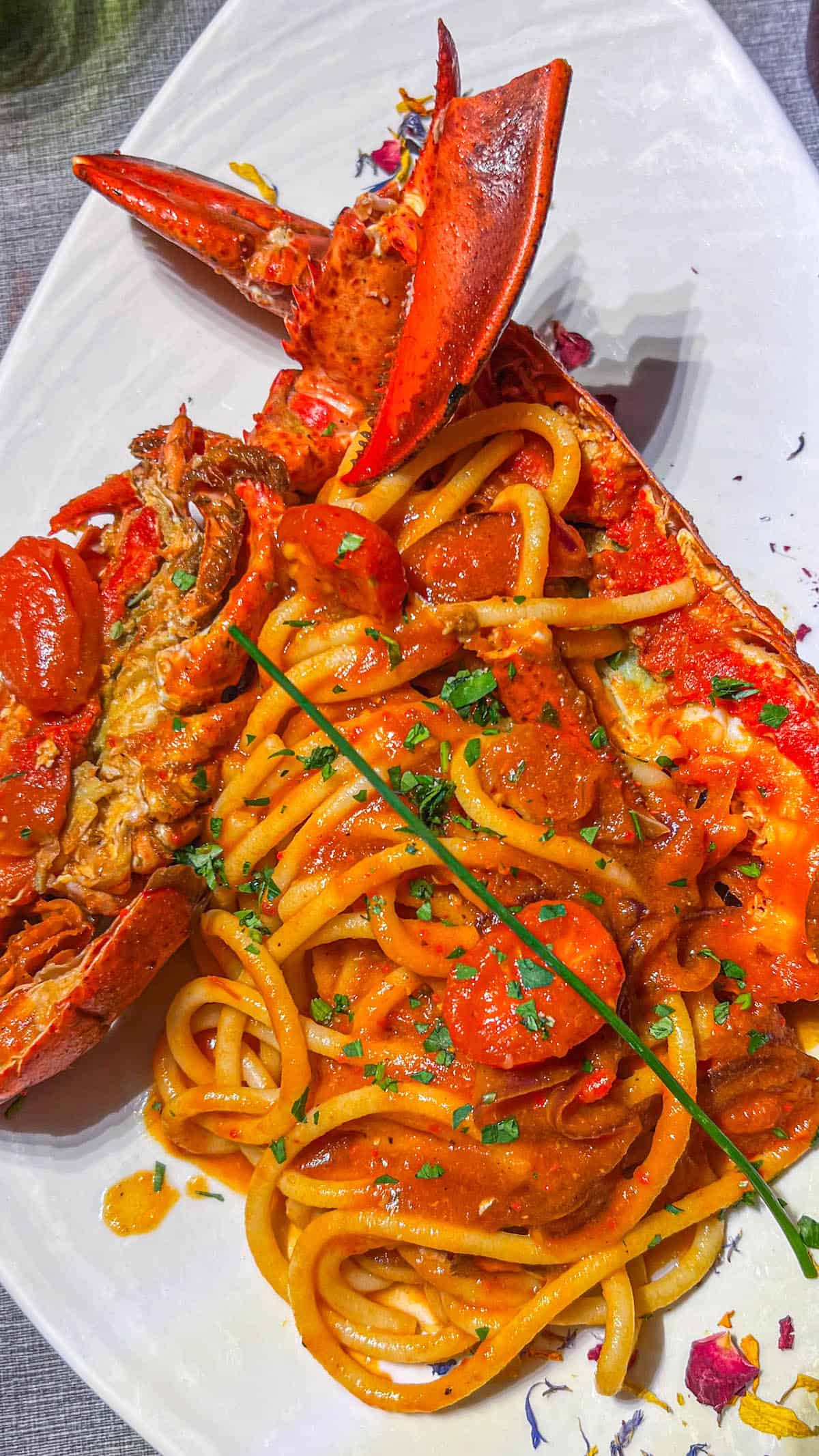 Lobster Pasta Busara - Sweet Cs Designs