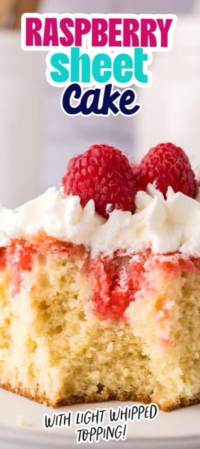 Raspberry Sheet Cake - Sweet Cs Designs